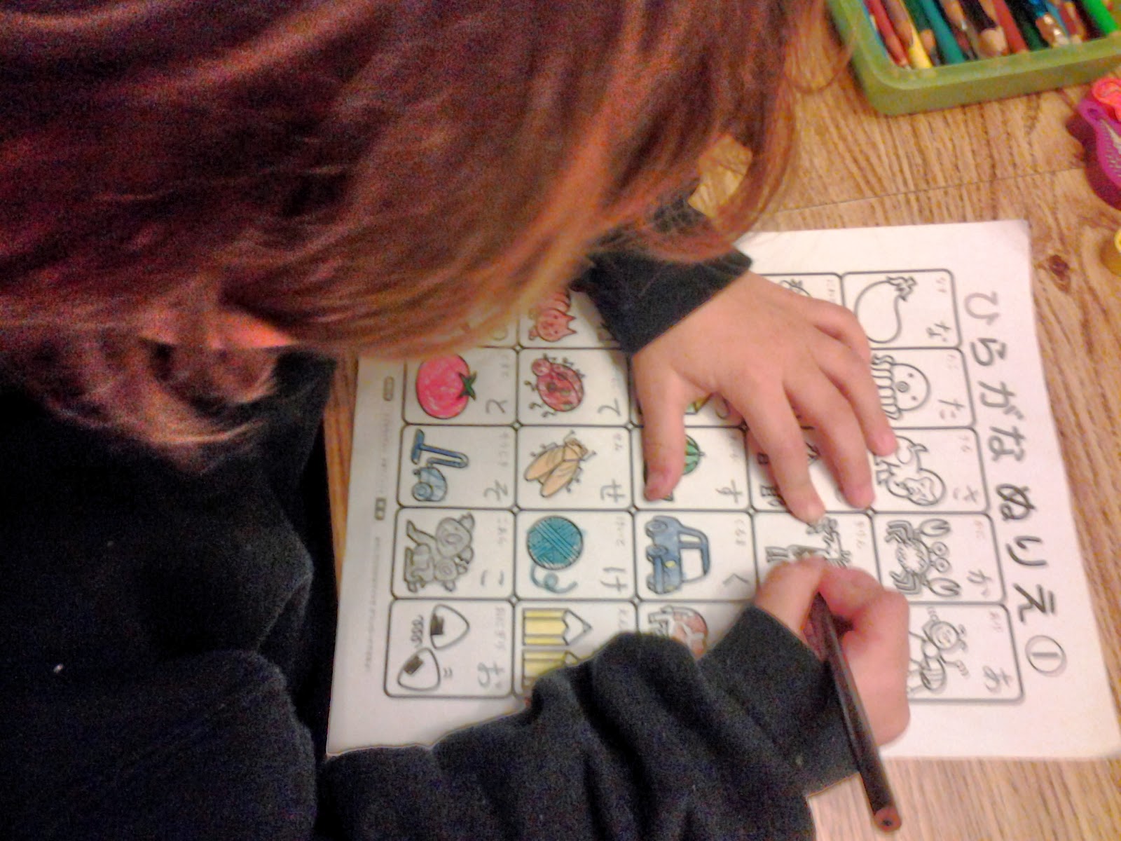 Hawaiian Immersion School: Hakalama - Syllabary Reading for Learning ...